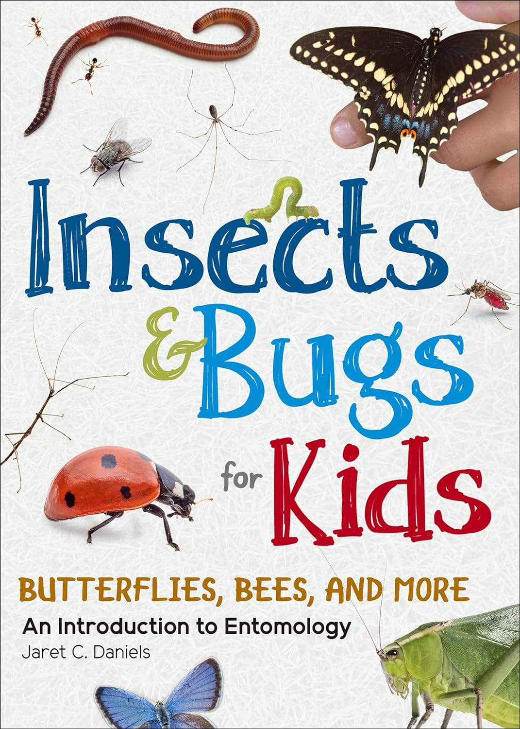 Insects & Bugs for Kids KEEN – Nana’s Niche and Corner